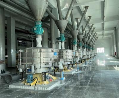 China SS304 Materials Rotary Vibration Sieve 100mesh Double Layer For Starch Industry for sale