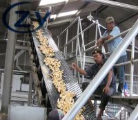 China Seimens Motor Cassava  Processing Machine / Drum Rotary Peeling Washing for sale