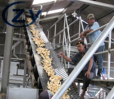 China Seimens Motor Cassava  Processing Machine / Drum Rotary Peeling Washing for sale