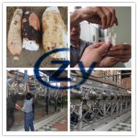 China Industrial-Grade High-Efficiency Stainless-Steel Motor-Equipped Hydrocyclone for Corn, Potato & Cassava Starch Processing for sale