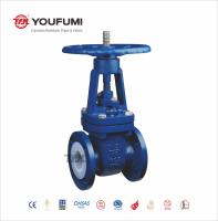 China Two Way PTFE Lined Gate Valve With Extended Stem A216 Wcb Rising Stem for sale