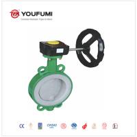 China Gas Media PTFE Lined Butterfly Valve PN16 150LBS For New Energy for sale