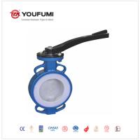China Corrosion Proof  CF8 PTFE Lined Butterfly Valve Wafer Type For Sea Water for sale