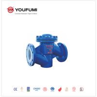 China DIN Horizontal Lift Check Valve , Petrochemical PFA Lined Swing Check Valve for sale