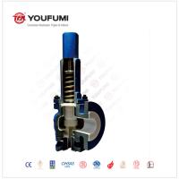 China RF Balance Safety Valve Relief Valve , Anticorrosion Petrochemical Safety Valve for sale