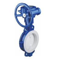 China Manual PTFE Lined Butterfly Valve PN16 DN80 Wafer Type Normal Temperature for sale