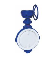 China JIS Standard PFA Lined Butterfly Valve , PN16 Wafer Type Butterfly Valve 150mm for sale