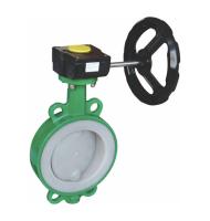 China Gas Media PTFE Lined Butterfly Valve PN16 150LBS For New Energy for sale
