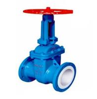 China Two Way PTFE Lined Gate Valve With Extended Stem A216 Wcb Rising Stem for sale
