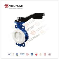 China Corrosion Proof  CF8 PTFE Lined Butterfly Valve Wafer Type For Sea Water for sale