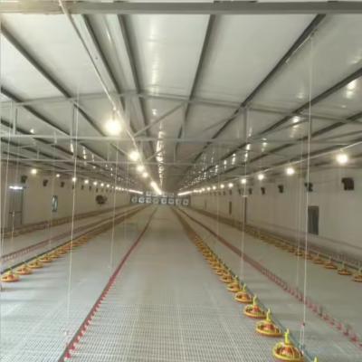 China Poultry Equipment Plastic Slats Flooring Moisture Resistant for Broiler Farm for sale