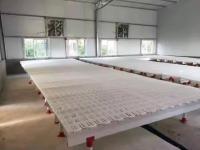 China Poultry Equipment Plastic Slats Flooring Moisture Resistant for Broiler Farm for sale