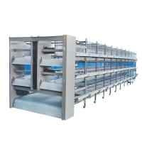 China H Type Poultry Chicken Layer Battery Cage Multi Layer Vertical Design Save Labor for sale