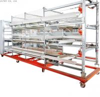 China H Type Poultry Chicken Layer Battery Cage Multi Layer Vertical Design Save Labor for sale
