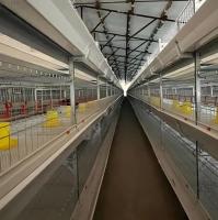 China H Type Poultry Chicken Layer Battery Cage Multi Layer Vertical Design Save Labor for sale