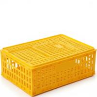 China PP Material Chicken Transport Crate Corrosion Resistance Poultry Transport Box for sale