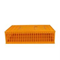 China PP Material Chicken Transport Crate Corrosion Resistance Poultry Transport Box for sale