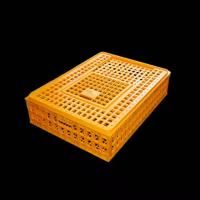 China PP Material Chicken Transport Crate Corrosion Resistance Poultry Transport Box for sale
