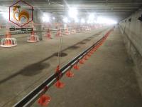 China Quick Cleaning Automatic Pan Feeding System For Broiler Poultry Farms for sale