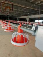 China Quick Cleaning Automatic Pan Feeding System For Broiler Poultry Farms for sale