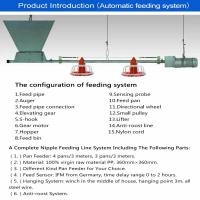 China Automatic Poultry Feeding Pan Broiler Farm Floor Raising System for sale