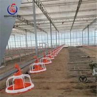 China Automatic Poultry Feeding Pan Broiler Farm Floor Raising System for sale
