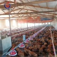 China Automatic Poultry Feeding Pan Broiler Farm Floor Raising System for sale