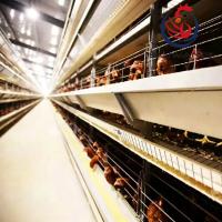 China Intelligent 3 4 5 6 Tiers H Type Layer Cage System For Efficient Chicken Raising for sale
