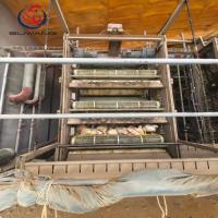 China Automatic Chain Type Broiler Cage Equipment Chicken Harvest Cage For Poultry Farming for sale