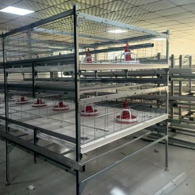 China Automatic Harvesting Chicken Coop Broiler Cage Poultry Farm Cage For Broilers for sale