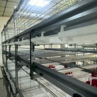 China Automatic Harvesting Chicken Coop Broiler Cage Poultry Farm Cage For Broilers for sale