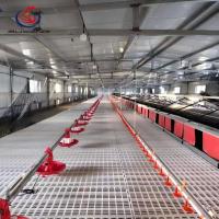 China Labor Saving Design Auto Layer Chicken Nest Box For High Volume Chicken Farms for sale