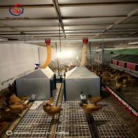 China Labor Saving Design Auto Layer Chicken Nest Box For High Volume Chicken Farms for sale