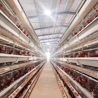 China Hot Galvanized H Type Poultry Layer Cage With Smart Battery Feeding System for sale
