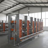 China Poultry Farm H Type Battery Cages Commercial Layer Cages Space Saving Corrosion Resistant for sale