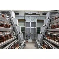 China Hot Dipped Galvainzed A Type Layer Chicken Cage Space Saving With Integrated Watering for sale