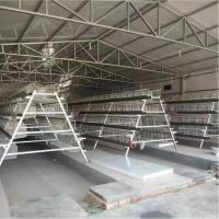 China Hot Dipped Galvainzed A Type Layer Chicken Cage Space Saving With Integrated Watering for sale