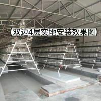 China Hot Dipped Galvainzed A Type Layer Chicken Cage Space Saving With Integrated Watering for sale