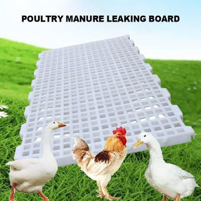 China 100% Virgin PP Poultry Slat Flooring White Poultry Farm Plastic Floor Corrosion Resistant for sale