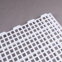 China 100% Virgin PP Poultry Slat Flooring White Poultry Farm Plastic Floor Corrosion Resistant for sale