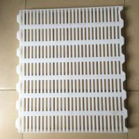 China 100% Virgin PP Poultry Slat Flooring White Poultry Farm Plastic Floor Corrosion Resistant for sale