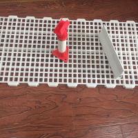 China 100% Virgin PP Poultry Slat Flooring White Poultry Farm Plastic Floor Corrosion Resistant for sale