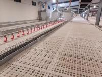 China PP Materials Poultry Slatted Flooring Efficient Manure Separation Broiler Slatted Floor for sale