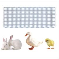 China 100% Virgin PP Poultry Slat Flooring White Poultry Farm Plastic Floor Corrosion Resistant for sale