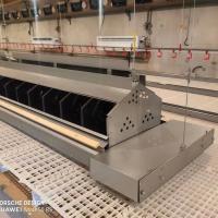 China Hen Friendly Design Automatic Nest Box For Poultry Breeding And Egg Production for sale