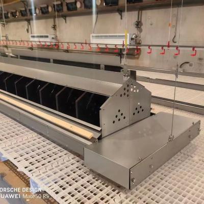 China Hen Friendly Design Automatic Nest Box For Poultry Breeding And Egg Production for sale