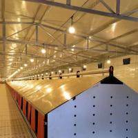 China Hen Friendly Design Automatic Nest Box For Poultry Breeding And Egg Production for sale
