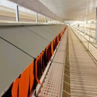 China Wear Resistant Automatic Poultry Laying Box Easy Egg Collection For Breeders And Farmers for sale