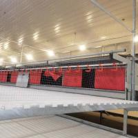 China Poultry Farming Automatic Egg Nesting Box Labor Saving For Floor Raised Layers for sale