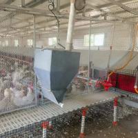 China Poultry Farming Automatic Egg Nesting Box Labor Saving For Floor Raised Layers for sale